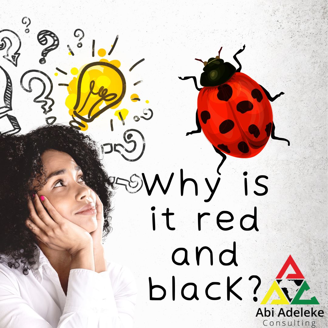 How to Improve Your Intellectual Curiosity in 2023 - Hanging Out With ...